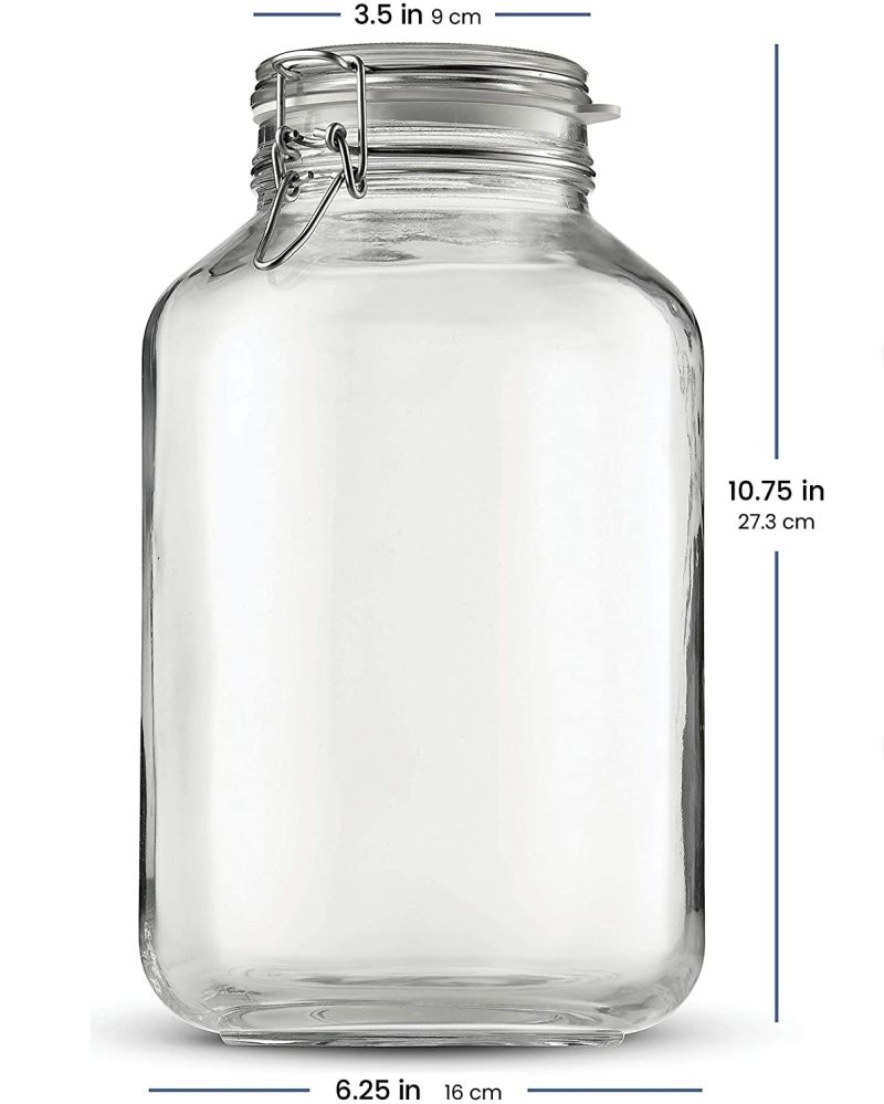 Best Jars for an Enclosed, Self-sustaining Water Ecosystem / Jarrarium ...